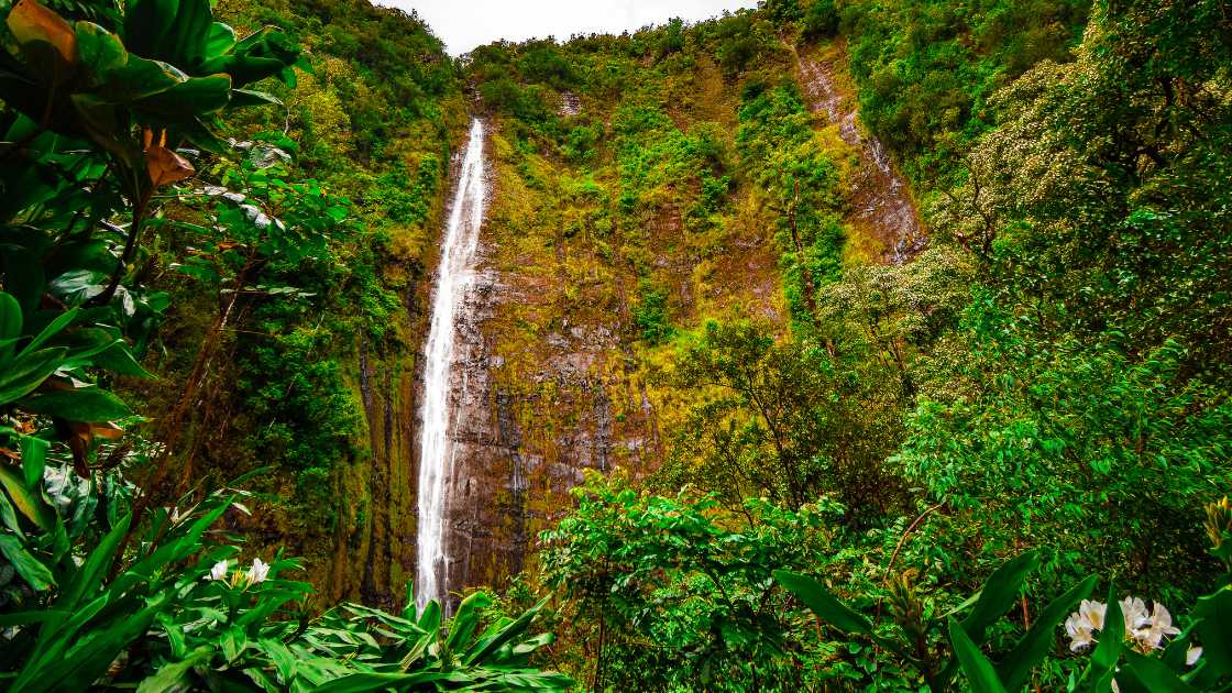 10 Best Waterfalls in Hawaii - Wanderersplanet