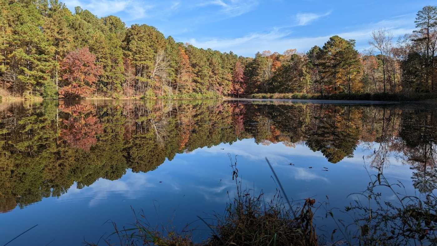 10 Best Waterfalls in Raleigh, NC