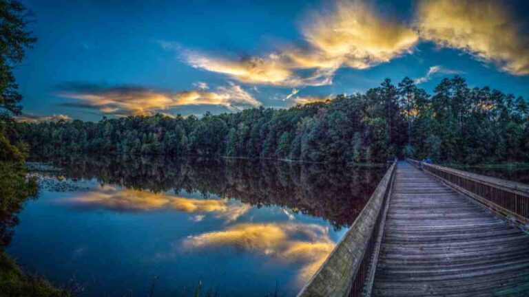 15 Beautiful Lakes In Alabama