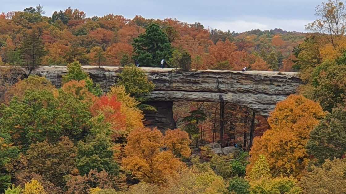 15 Majestic Waterfalls Near Bowling Green, KY