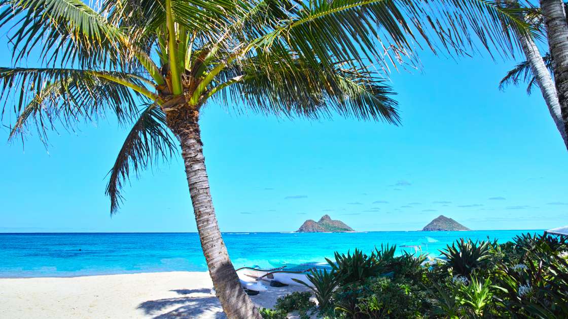 30 Must-Visit Clear Water Beaches in the USA