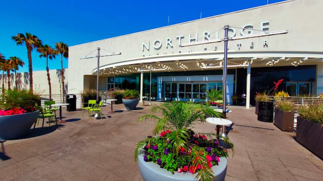 20 Best Things to Do in Northridge Los Angeles
