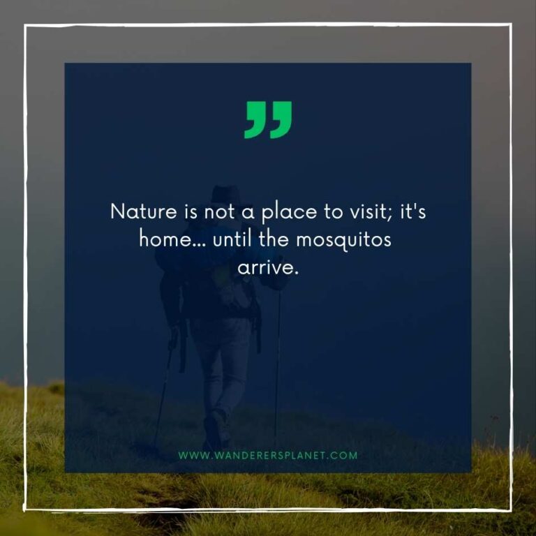 100+ Funny Quotes About Hiking - Wanderersplanet