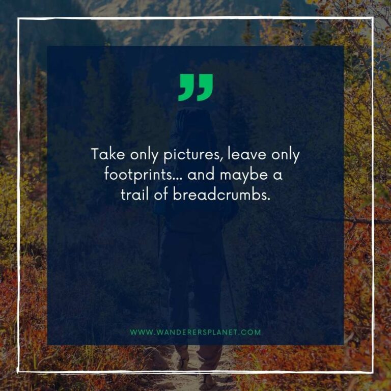100+ Funny Quotes About Hiking - Wanderersplanet