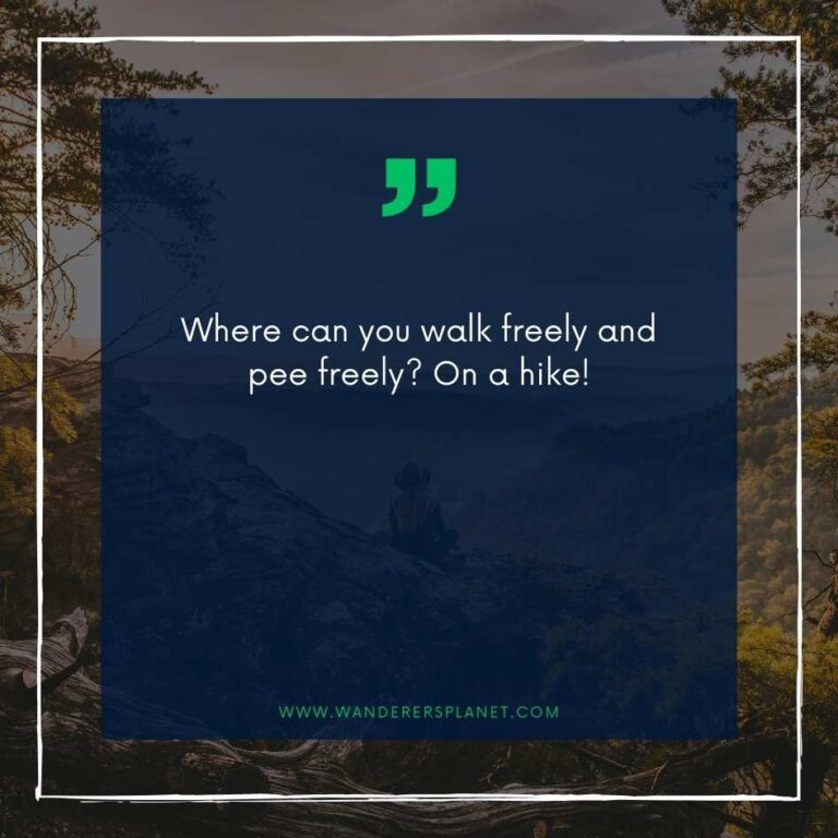 100+ Funny Quotes About Hiking - Wanderersplanet
